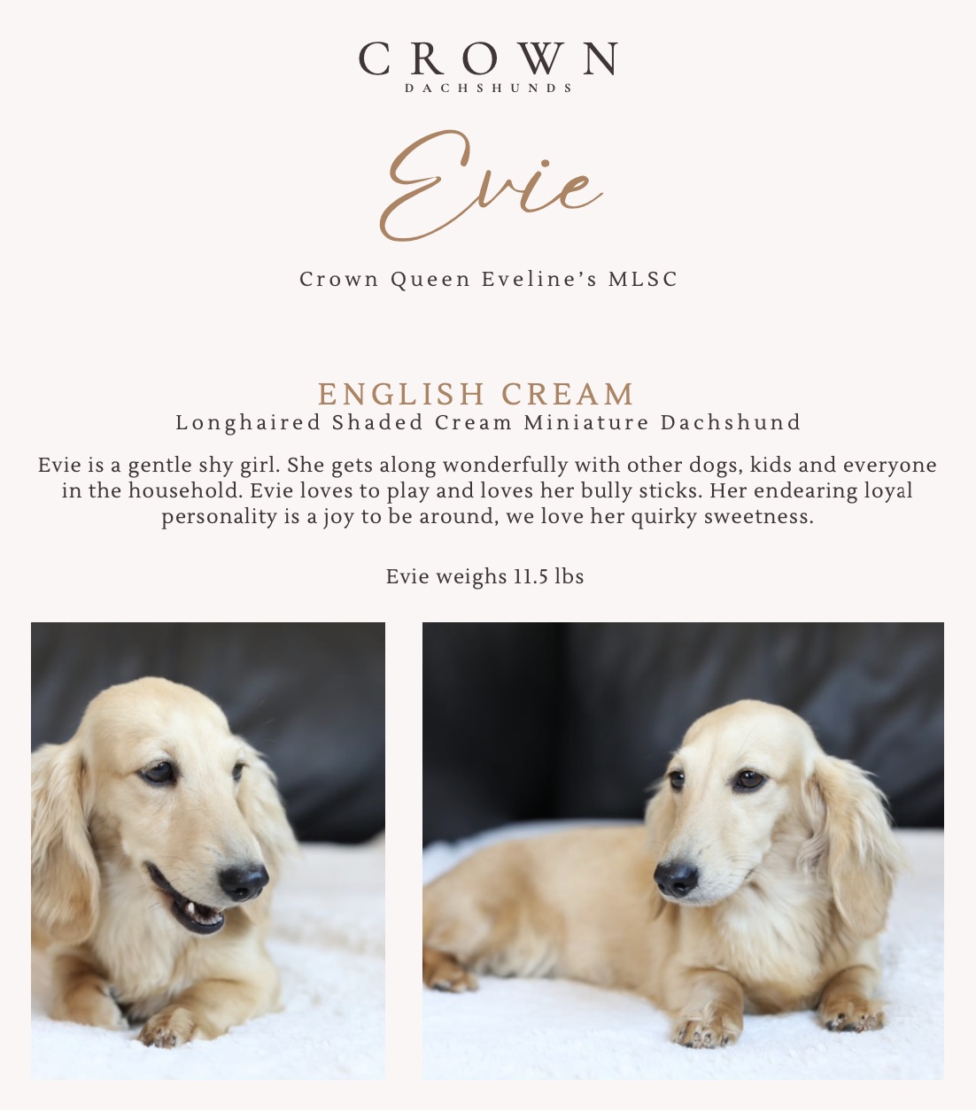 Evie and Bennett